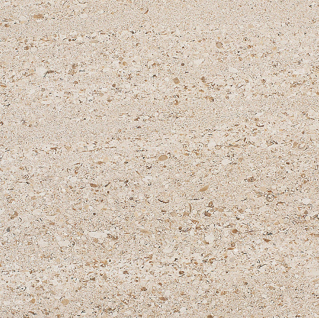 Caliza - Shell Reef (Shell Reef Español) - Arca – Leader and Supplier ...