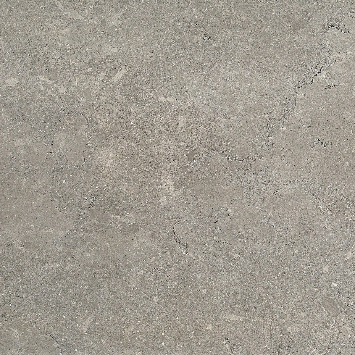 Porcelanato - Lagos Light Grey - Arca – Leader and Supplier of Natural ...